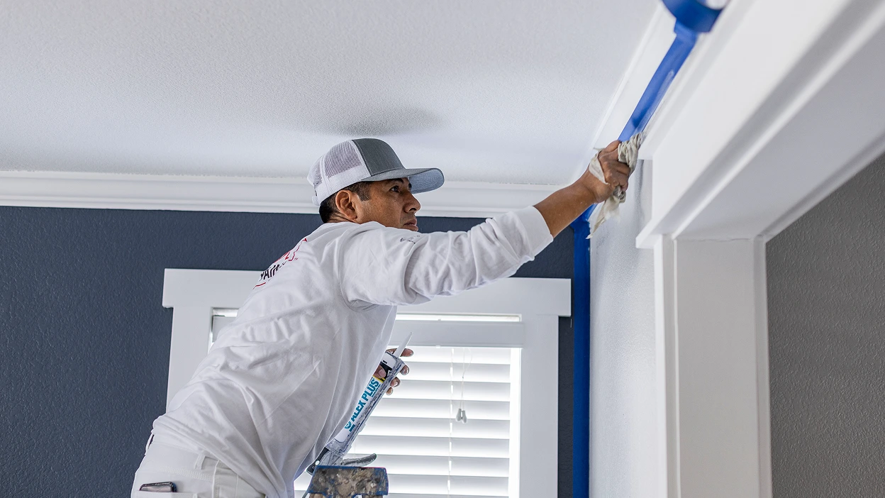 Professional Interior and Exterior Painting Company - Ace Hardware ...